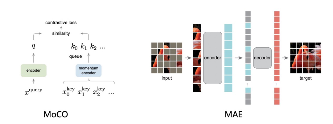 EasyCV开源基于Pytorch的自监督与Transformer视觉工具库-开发者社区-阿里云