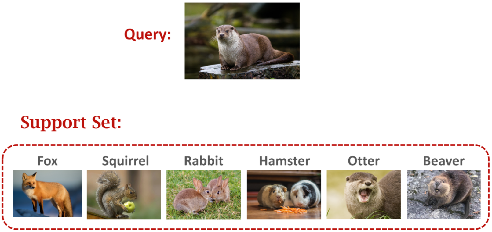 计算机视觉Zero-shot One-shot Few-shot学习核心概念与原理-开发者社区-阿里云