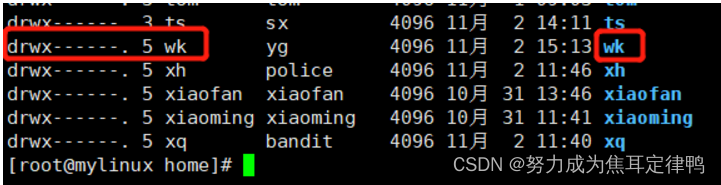 Linux：rwx操作对目录的操作效果+rwx的最小权限问题-阿里云开发者社区