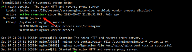 【Nginx】Nginx启动显示80端口占用问题的解决方案-阿里云开发者社区