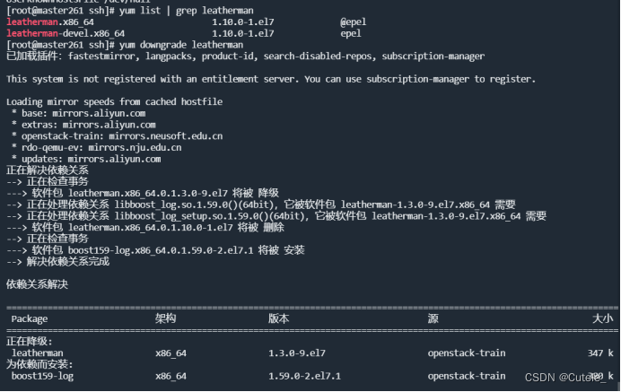 CentOS7使用PackStack单机部署OpenStack问题排查-开发者社区-阿里云