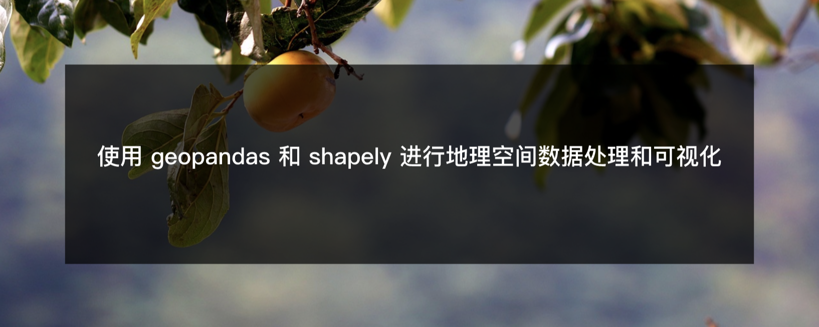 使用 Geopandas 和 Shapelyshp 进行地理空间数据处理和可视化 阿里云开发者社区