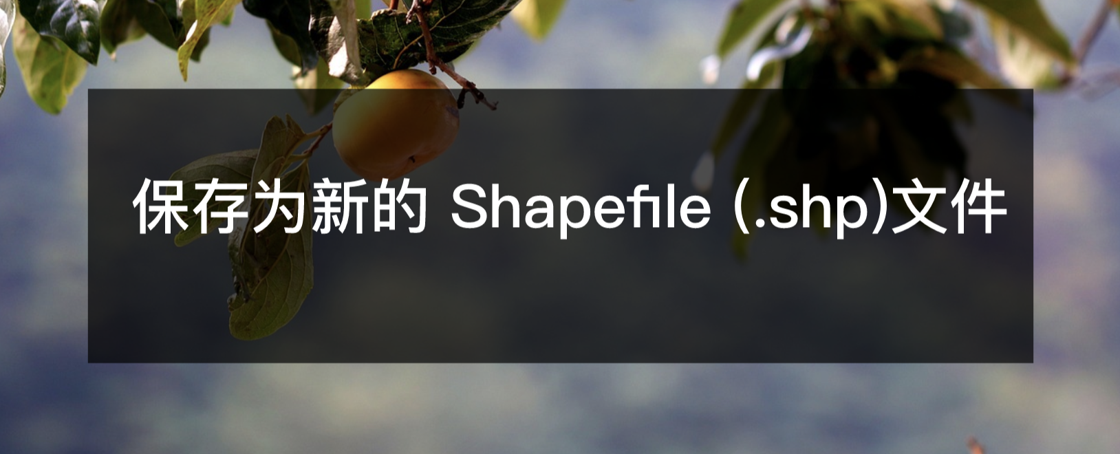 使用 geopandas 和 shapely(.shp) 进行地理空间数据处理和可视化-阿里云开发者社区