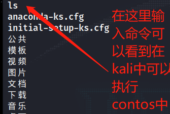 使用nc进行端口监听文件传输与获取shell-开发者社区-阿里云