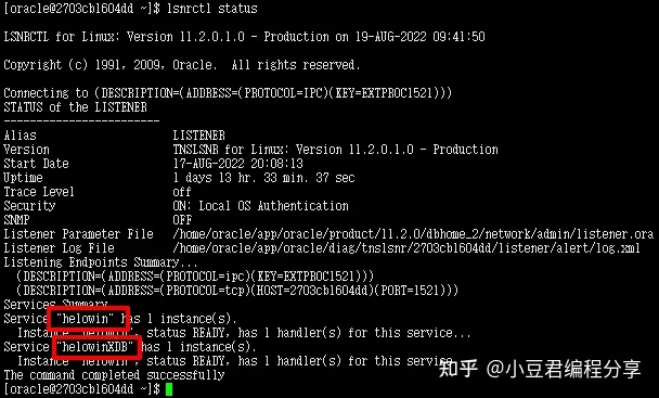 Plsql连接oracle数据库详细教程 阿里云开发者社区