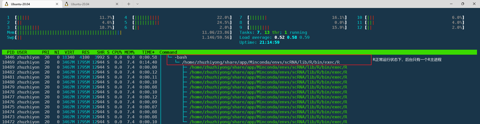 R语言- parallel::mclapply 并行化计算任务-阿里云开发者社区