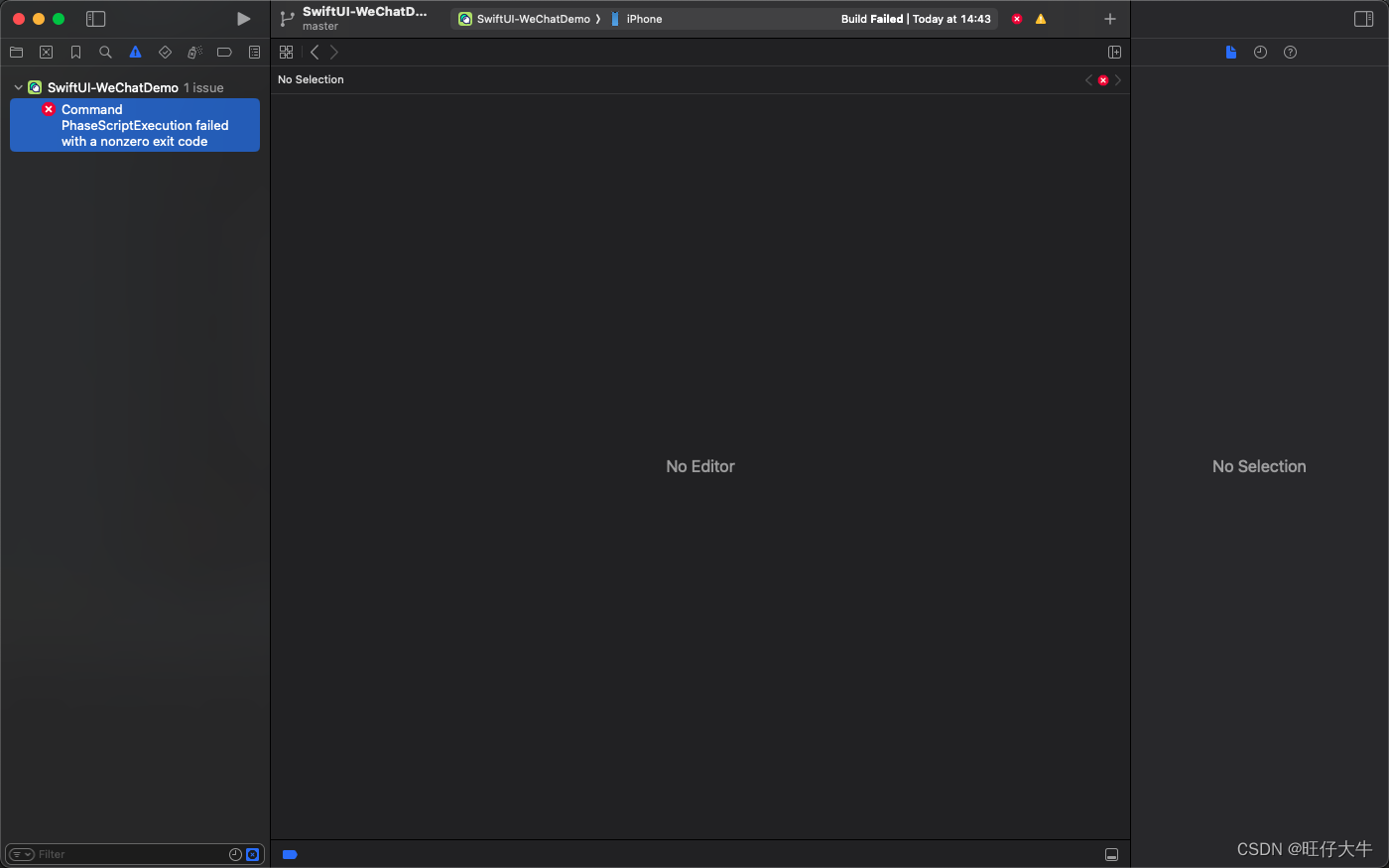 Xcode编译时Command PhaseScriptExecution failed的排查与解决方法-开发者社区-阿里云