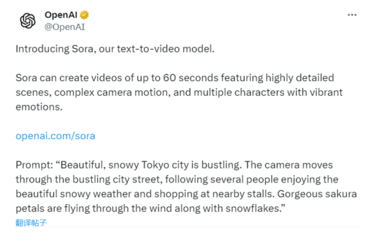 如何使用Sora？Sora小白教程一文通-阿里云开发者社区