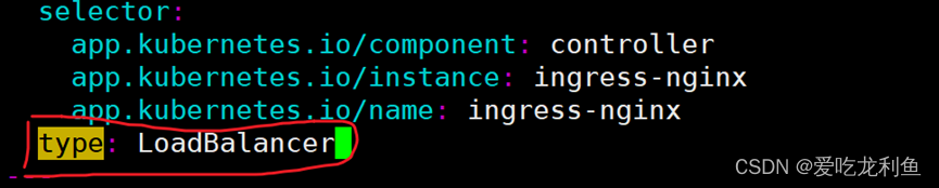 使用Nginx Ingress Controller实现Kubernetes Ingress外部流量路由-开发者社区-阿里云