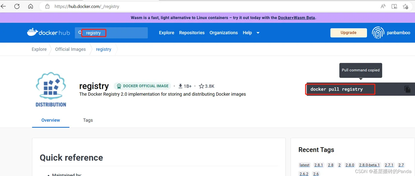 Docker镜像创建及管理（Hub官方仓库使用及私有注册中心搭建）-阿里云开发者社区