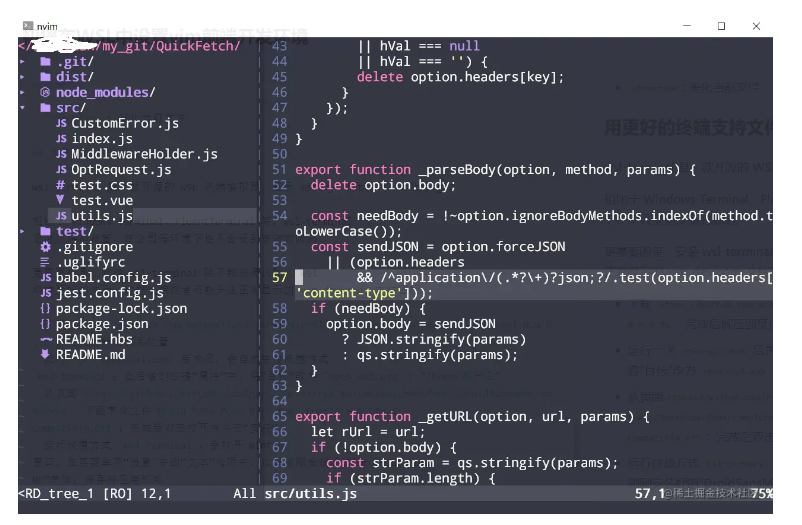 初探在WSL中设置vim前端开发环境-阿里云开发者社区