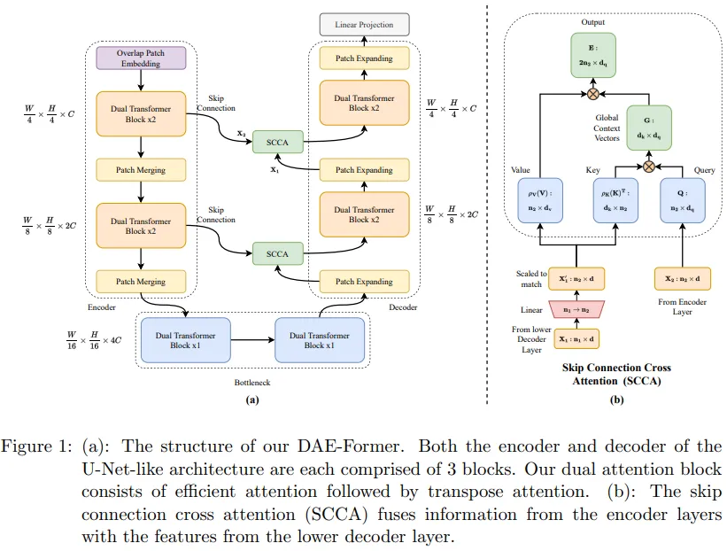 DAE-Former模型解读：基于双重注意力的Transformer医学图像分割-开发者社区-阿里云