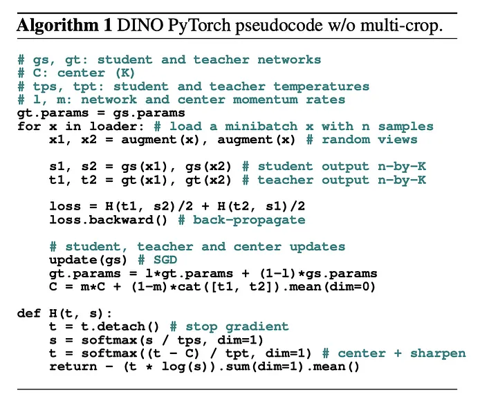 DINO模型原理与机制基于ViT的自蒸馏自监督学习-开发者社区-阿里云