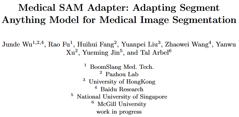 视觉大模型系列 | MSA：一种简单强大的医学 SAM 适配器，轻松强化 SAM 到指定领域-阿里云开发者社区