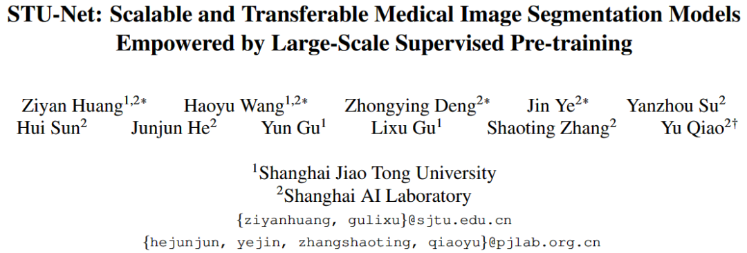 视觉大模型系列 | STU-Net: 超越 nnU-Net，探讨大模型在医学图像分割领域的可能性-阿里云开发者社区