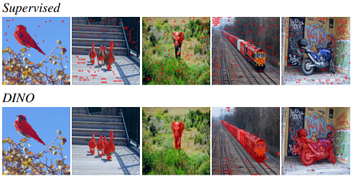 DINO模型原理与机制基于ViT的自蒸馏自监督学习-开发者社区-阿里云