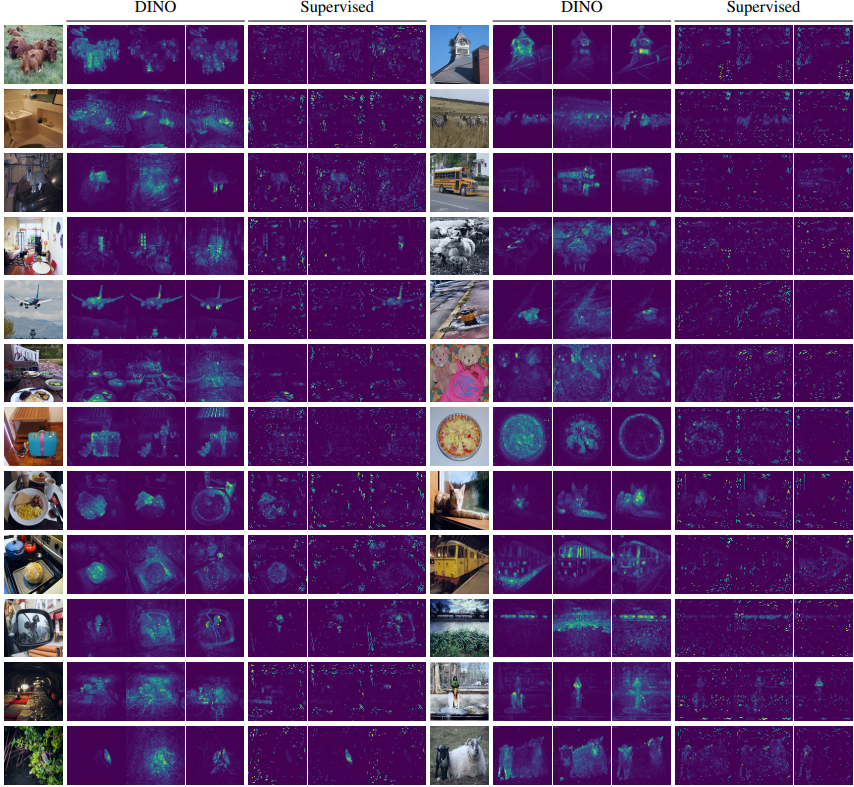 DINO模型原理与机制基于ViT的自蒸馏自监督学习-开发者社区-阿里云