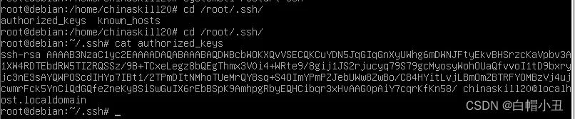 Debian安装SSH并配置iptables实现证书免密登录-开发者社区-阿里云