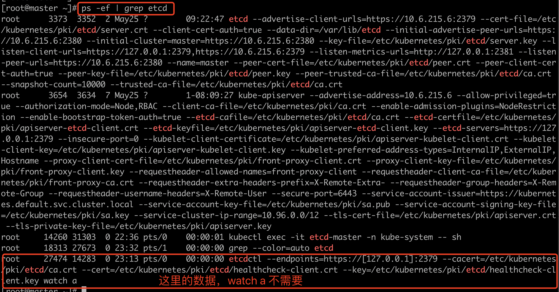 k8s--etcd 基本操作 -阿里云开发者社区