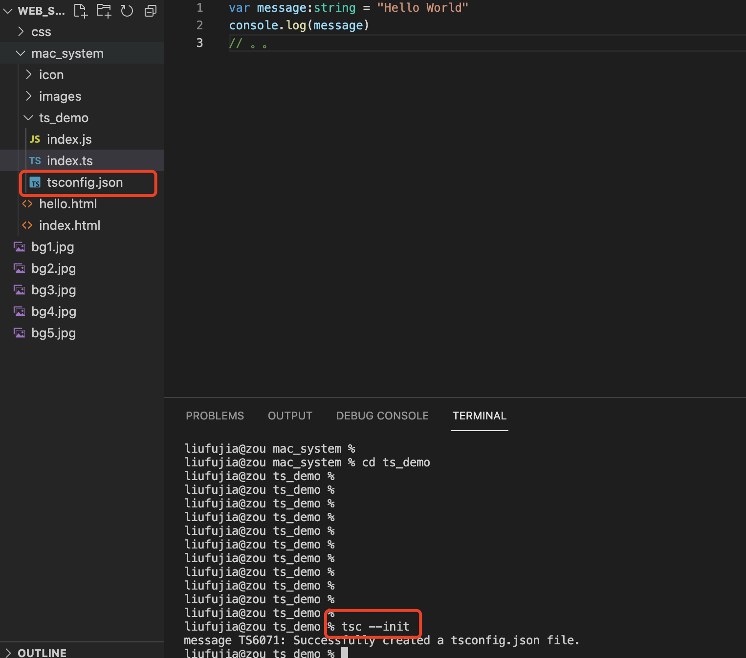 TypeScript--介绍、安装-阿里云开发者社区