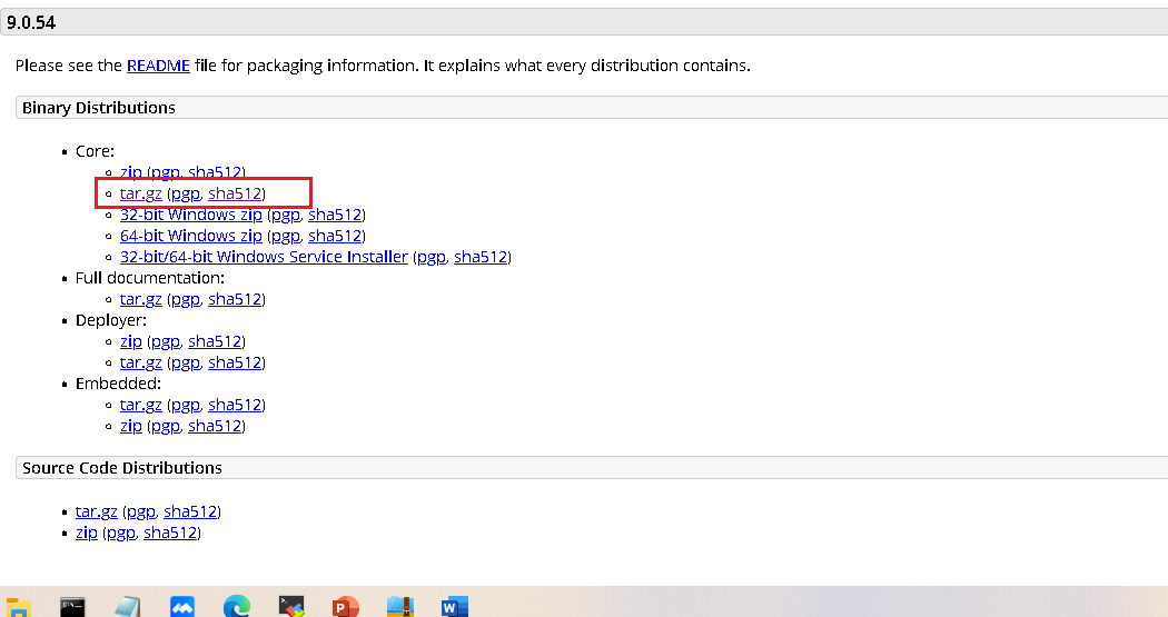 Linux使用命令行安装并启动Tomcat9.0-开发者社区-阿里云