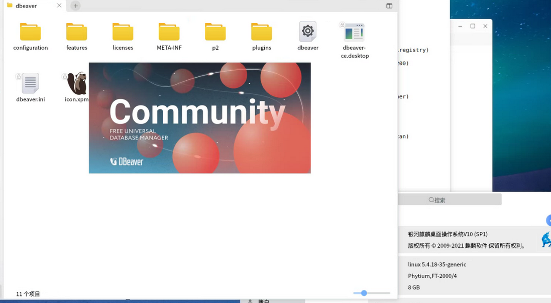 （linux-x86-ARM）麒麟V10安装DBeaver21.3通用的数据库管理工具和 SQL 客户端-阿里云开发者社区