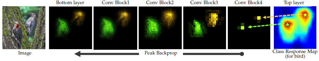 一文尽览！弱监督语义/实例/全景分割全面调研（2022最新综述）（上）-阿里云开发者社区