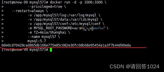 Docker 安装 MySQL5.7 和 MySQL8-阿里云开发者社区