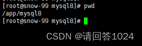 Docker 安装 MySQL5.7 和 MySQL8-阿里云开发者社区