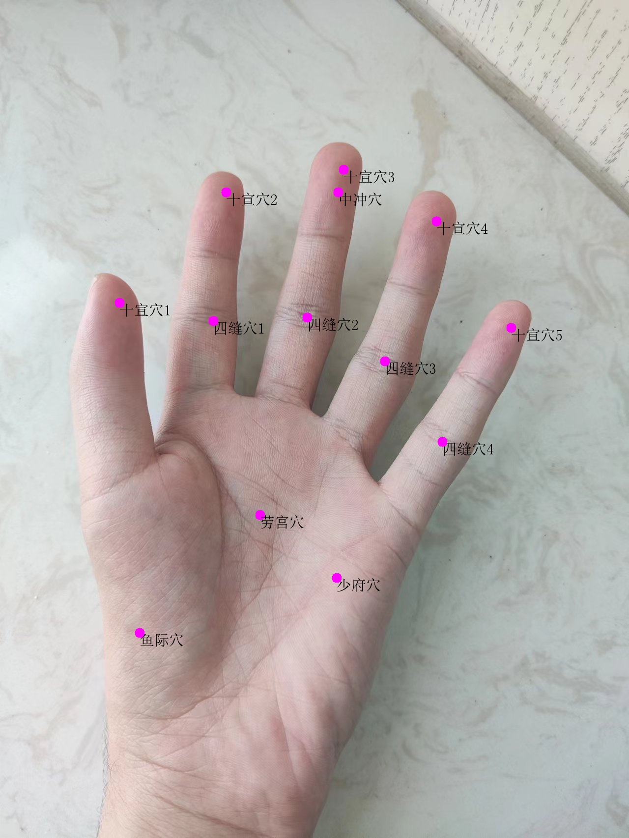 【python】计算机视觉 手掌图片穴位识别(二) 阿里云开发者社区