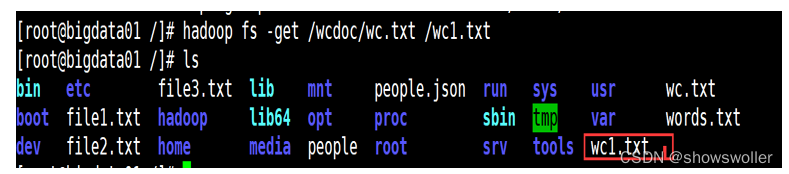 【大数据技术hadoopspark】hdfs Shell常用命令及hdfs Java Api详解及实战（超详细 附源码） 阿里云开发者社区