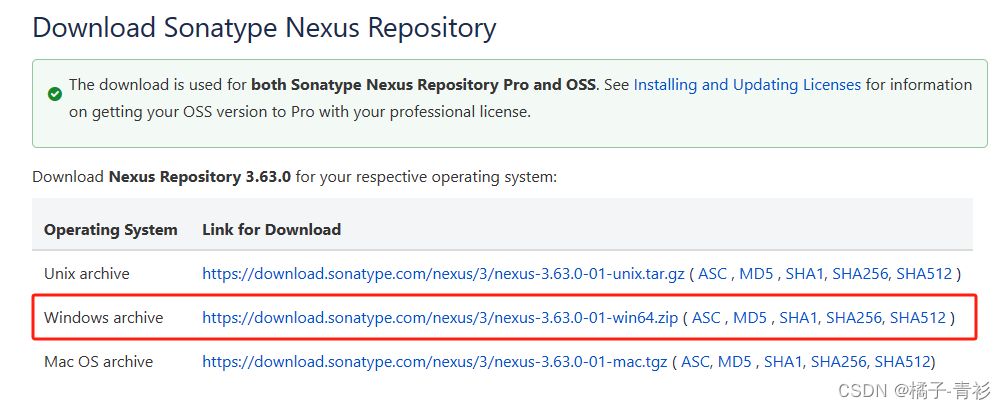从零开始使用Nexus搭建你的Maven私服（Windows系统）-阿里云开发者社区
