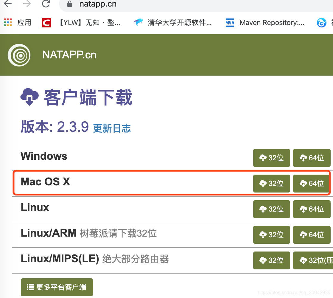 Nginx系列教程（03） - 外网映射（NatApp）-阿里云开发者社区