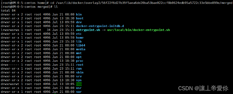 Docker中在初始化时为MySQL8设置表名忽略大小写-开发者社区-阿里云