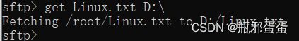 使用sftp的get和put命令实现Linux与Windows文件互传-开发者社区-阿里云