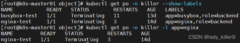 k8s学习-k8s资源对象与yaml结构-阿里云开发者社区