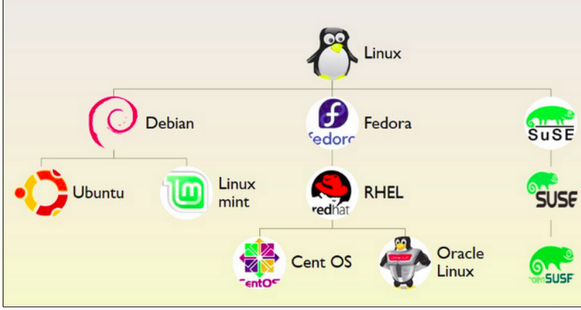 【Linux】Linux环境与历史-阿里云开发者社区