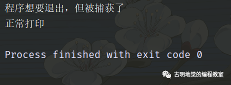 Python中exit sys.exit与os._exit退出方式的区别与原理-开发者社区-阿里云