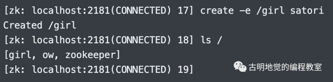 ZooKeeper核心原理安装集群搭建与Python分布式锁实现-开发者社区-阿里云