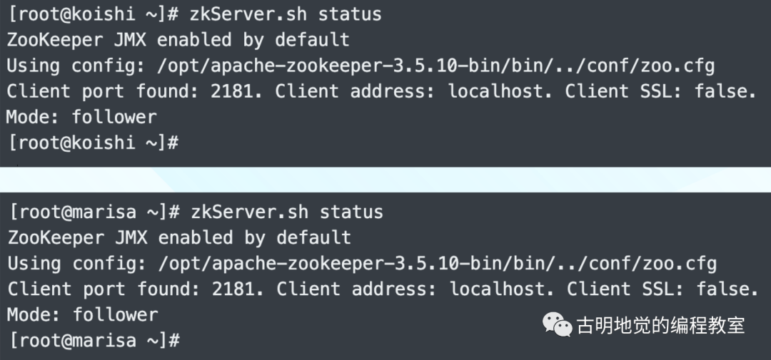 一文让你搞懂 zookeeper-阿里云开发者社区