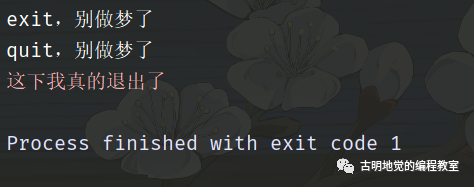 Python中exit sys.exit与os._exit退出方式的区别与原理-开发者社区-阿里云