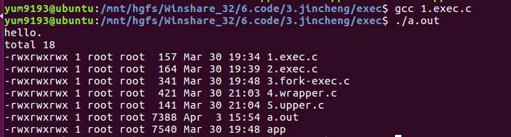Linux系统应用编程---进程原语（fork、exec、wait&waitpid）-阿里云开发者社区