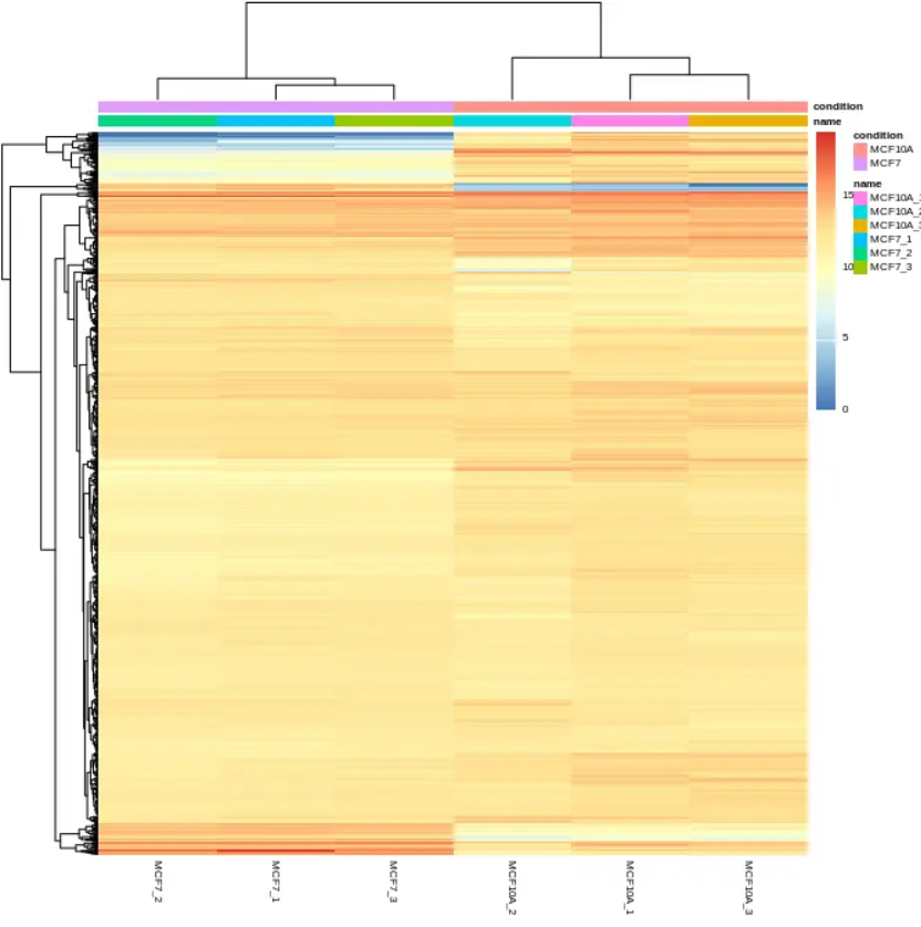 Hisat2 featureCounts DESeq2差异表达分析流程及可视化-开发者社区-阿里云