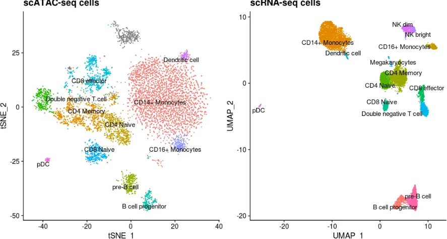 Seurat的scATAC-seq分析流程-阿里云开发者社区