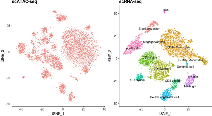 Seurat的scATAC-seq分析流程-阿里云开发者社区