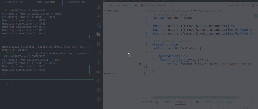 冷知识!如何远程调试在K8S POD中的Java应用程序！-阿里云开发者社区