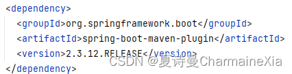 Spring Boot 的父级依赖：spring-boot-starter-parent-阿里云开发者社区