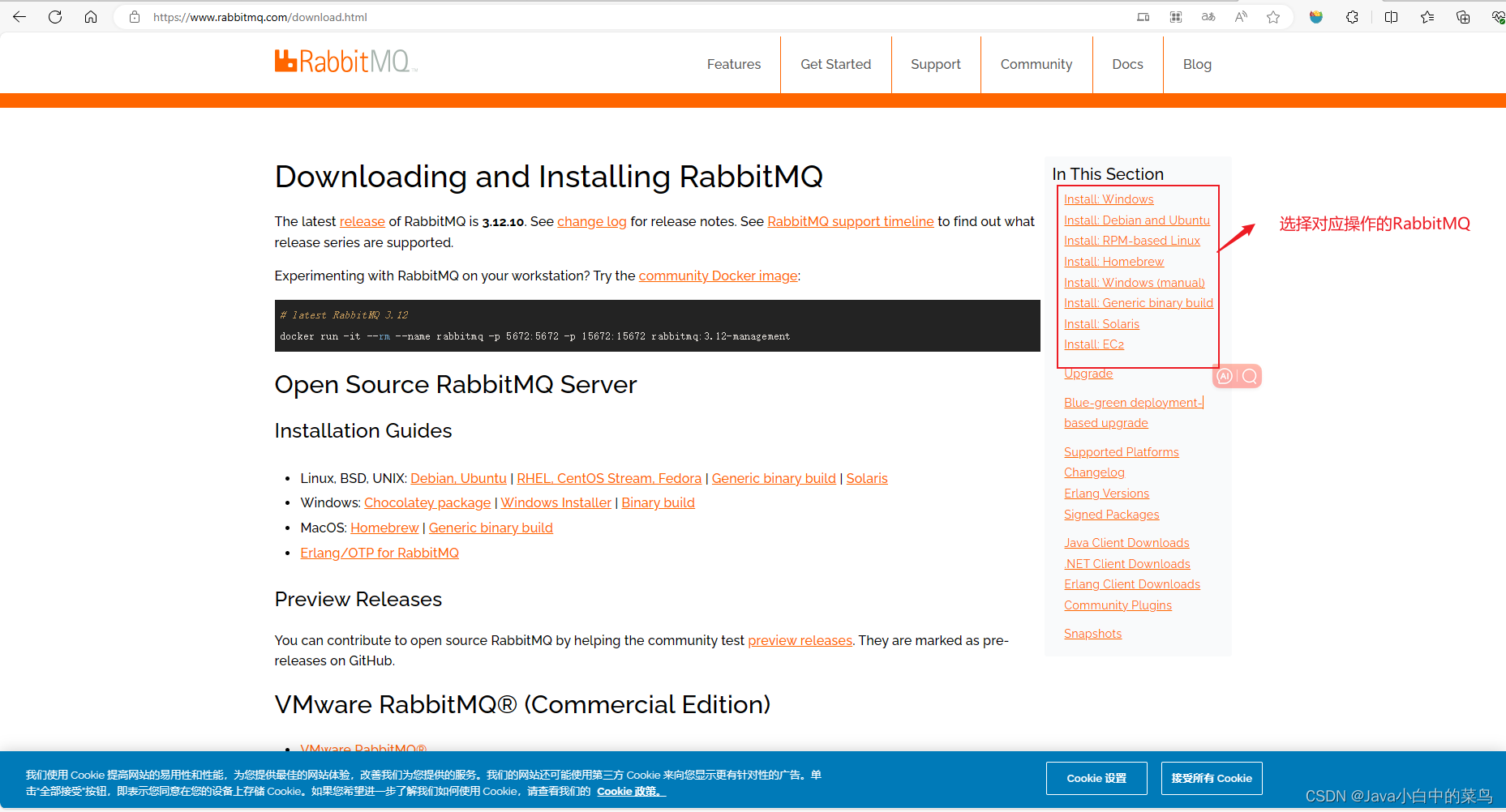 Window系统下载与安装RabbitMQ-阿里云开发者社区