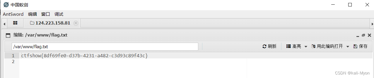 ctfshow-web4（文件包含&日志注入）-阿里云开发者社区