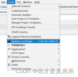 IDEA优秀插件 之 Mybatis-Log-Plugin（上）-阿里云开发者社区